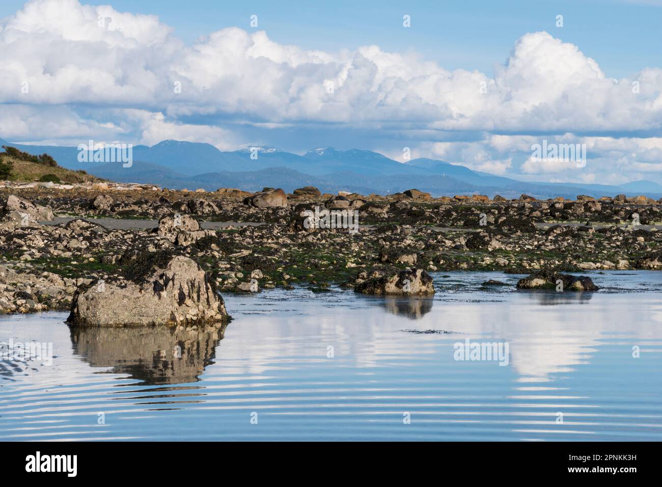 Tide pool rocks and springtime clouds reflect in calm shallow water ...