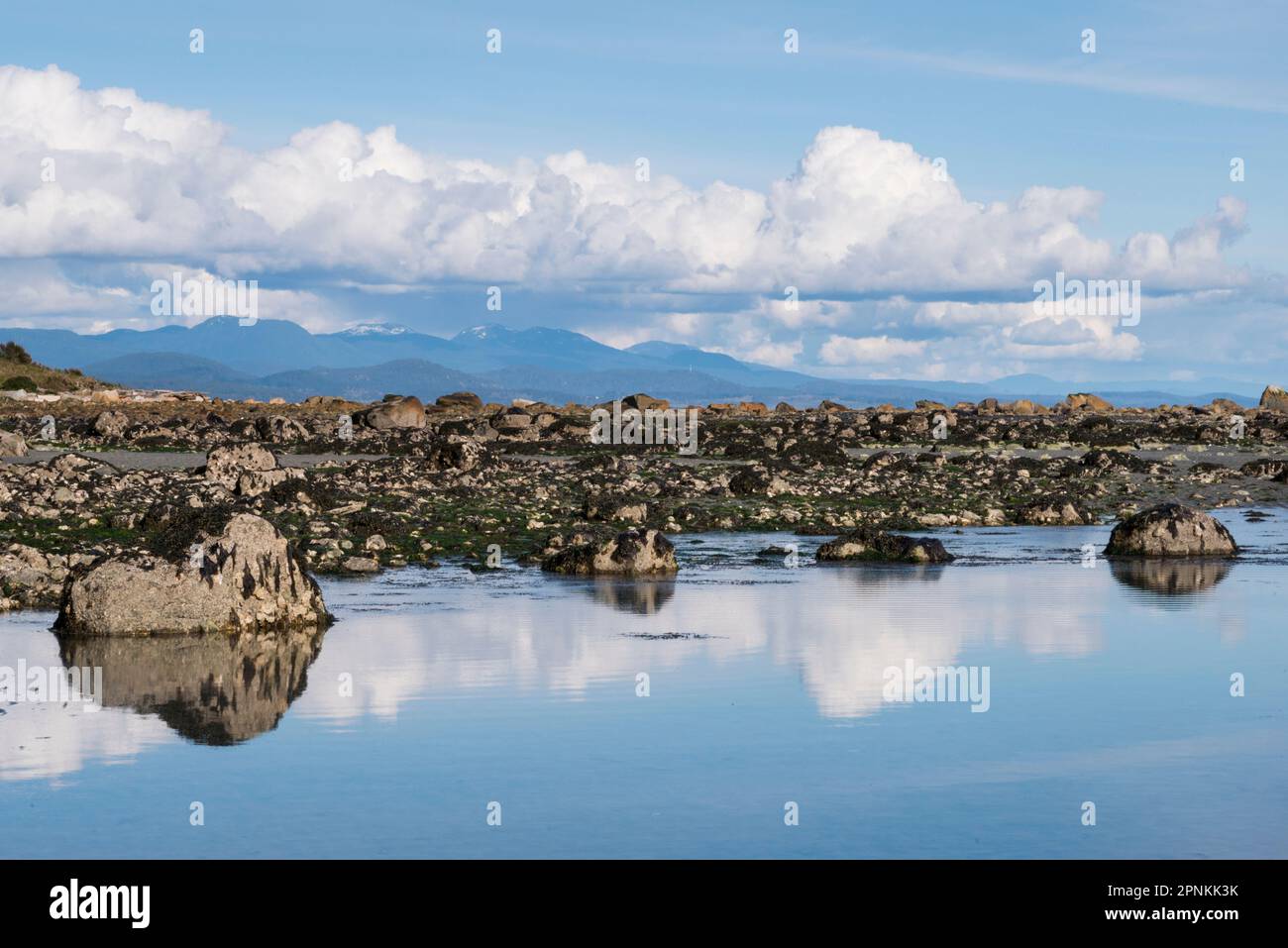 Savary island bc hi-res stock photography and images - Alamy