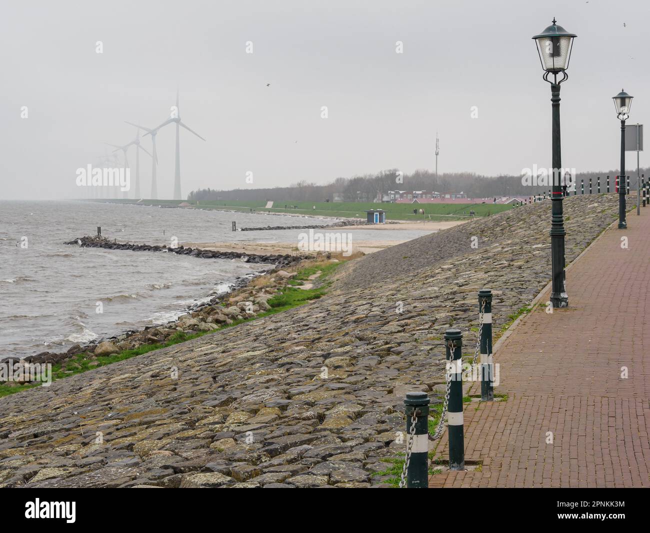 the city of Urk and many tulips in the netherlands Stock Photo - Alamy