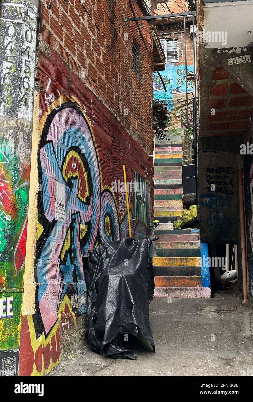 Dangerous Neighborhoods