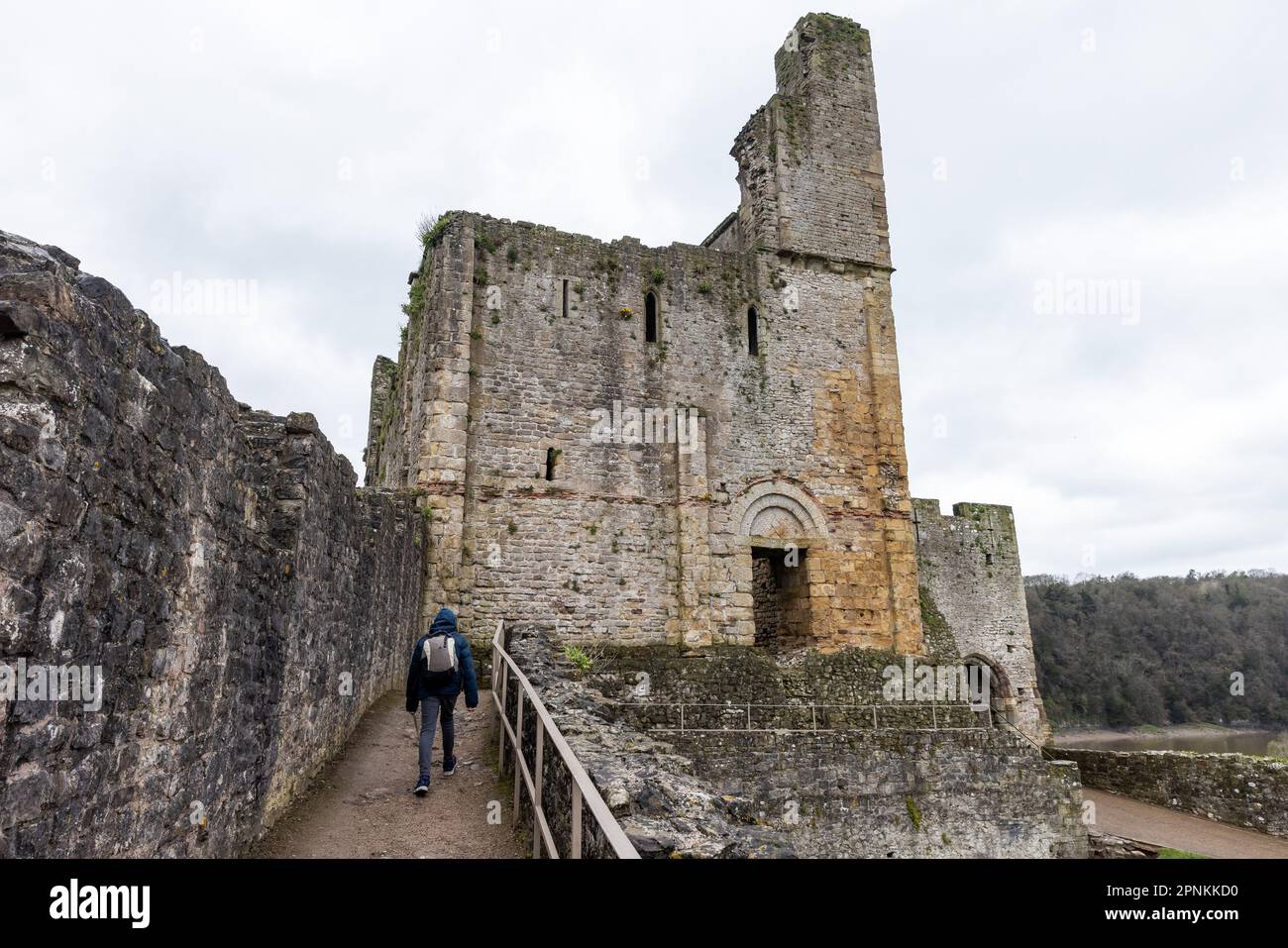 Chepstow, UK. 14th April, 2023. The Great Tower of Chepstow Castle is ...