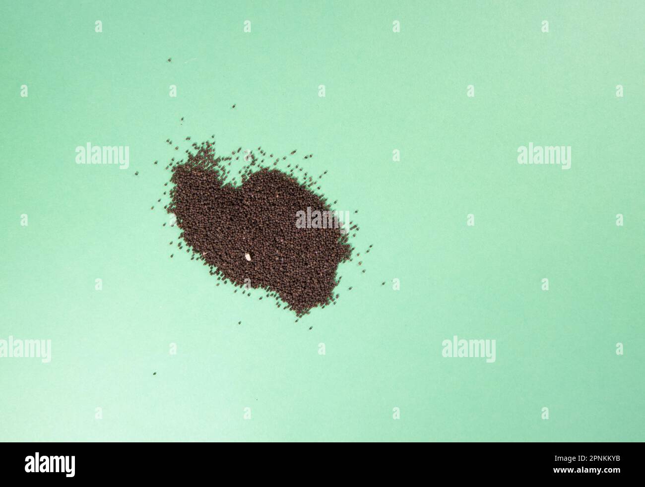 small pile of wild poppy seed isolated on a dark green background Stock ...