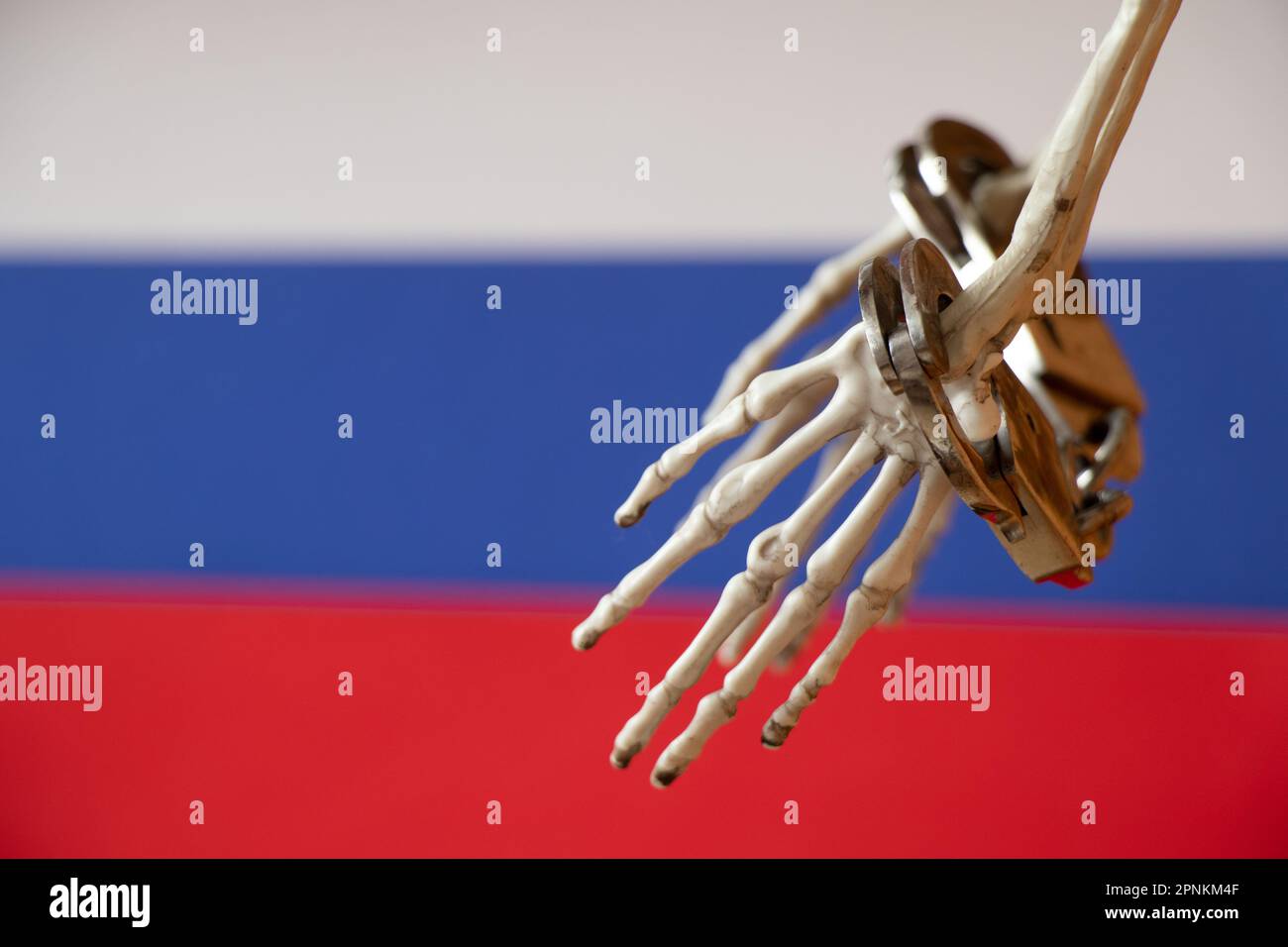 Skeleton hands in handcuffs on the flags of Russia, law Stock Photo - Alamy