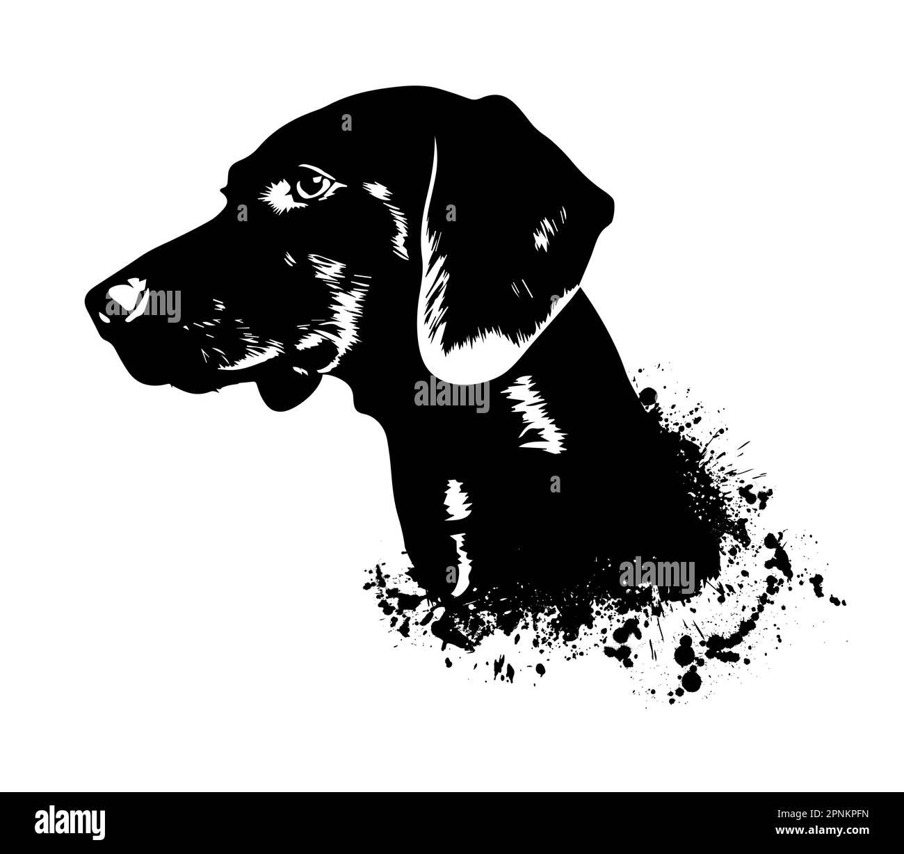 Dachshund head black graphics. Blobs of paint. Vector illustration ...