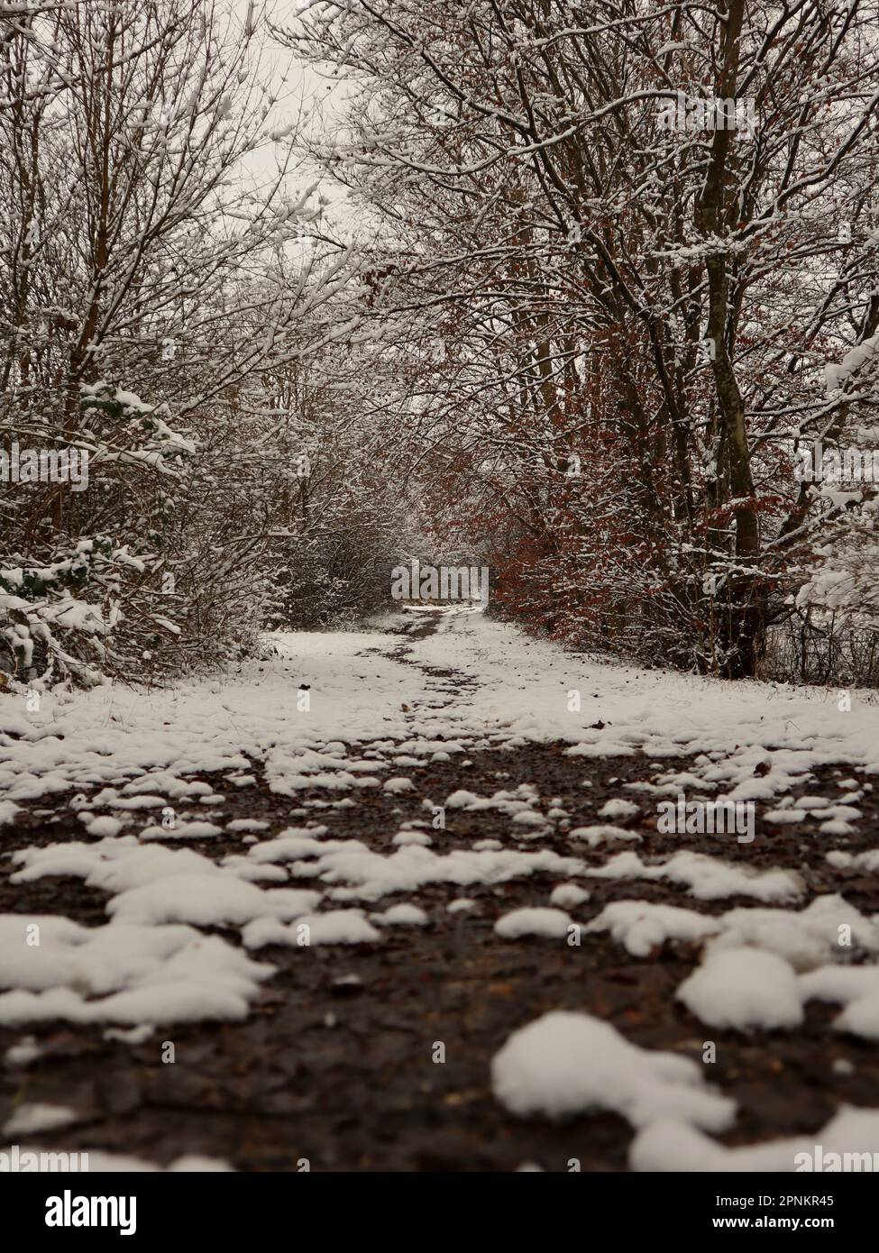 Lonely path hi-res stock photography and images - Alamy