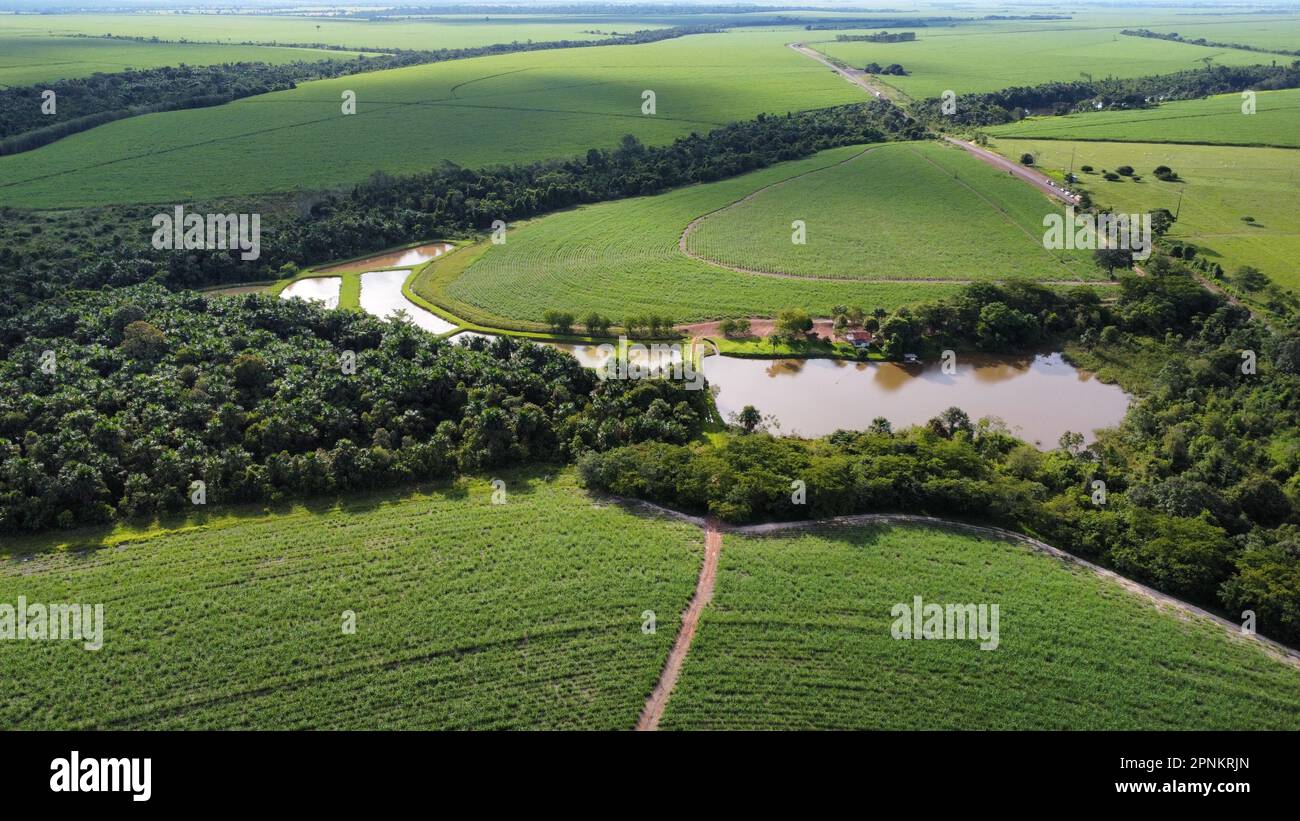 Aerial view of a serene landscape featuring a winding river snaking through lush green fields ...