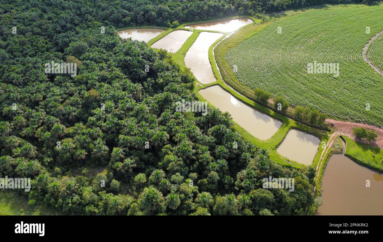 Aerial view of a serene landscape featuring a winding river snaking through lush green fields ...
