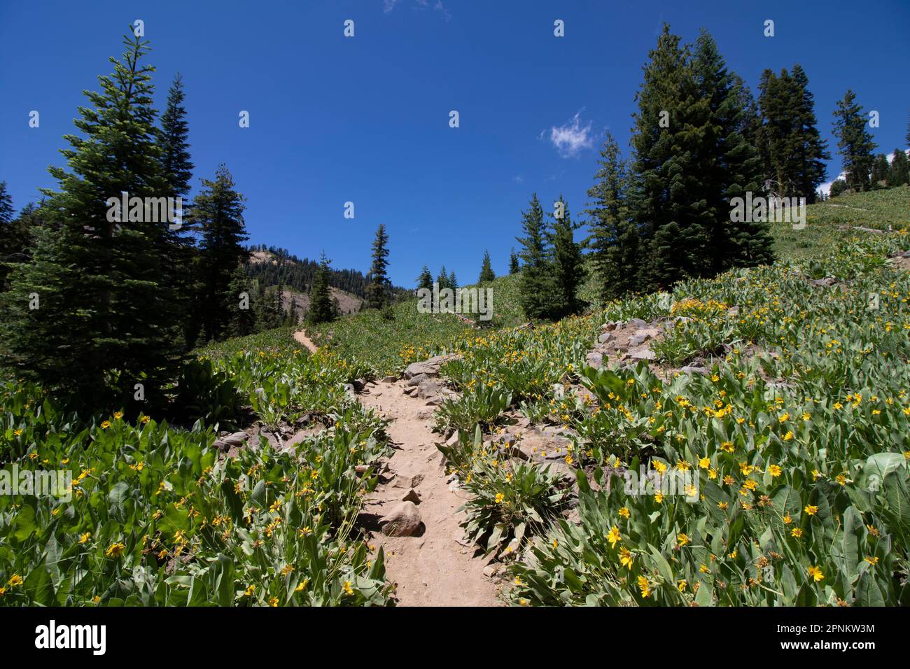 Northern cascade mountains hi-res stock photography and images - Alamy