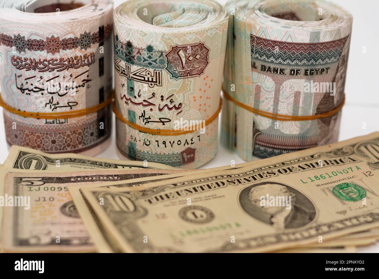 Rolls of Egypt money banknote bills of 100 and 50 EGP LE one hundred ...