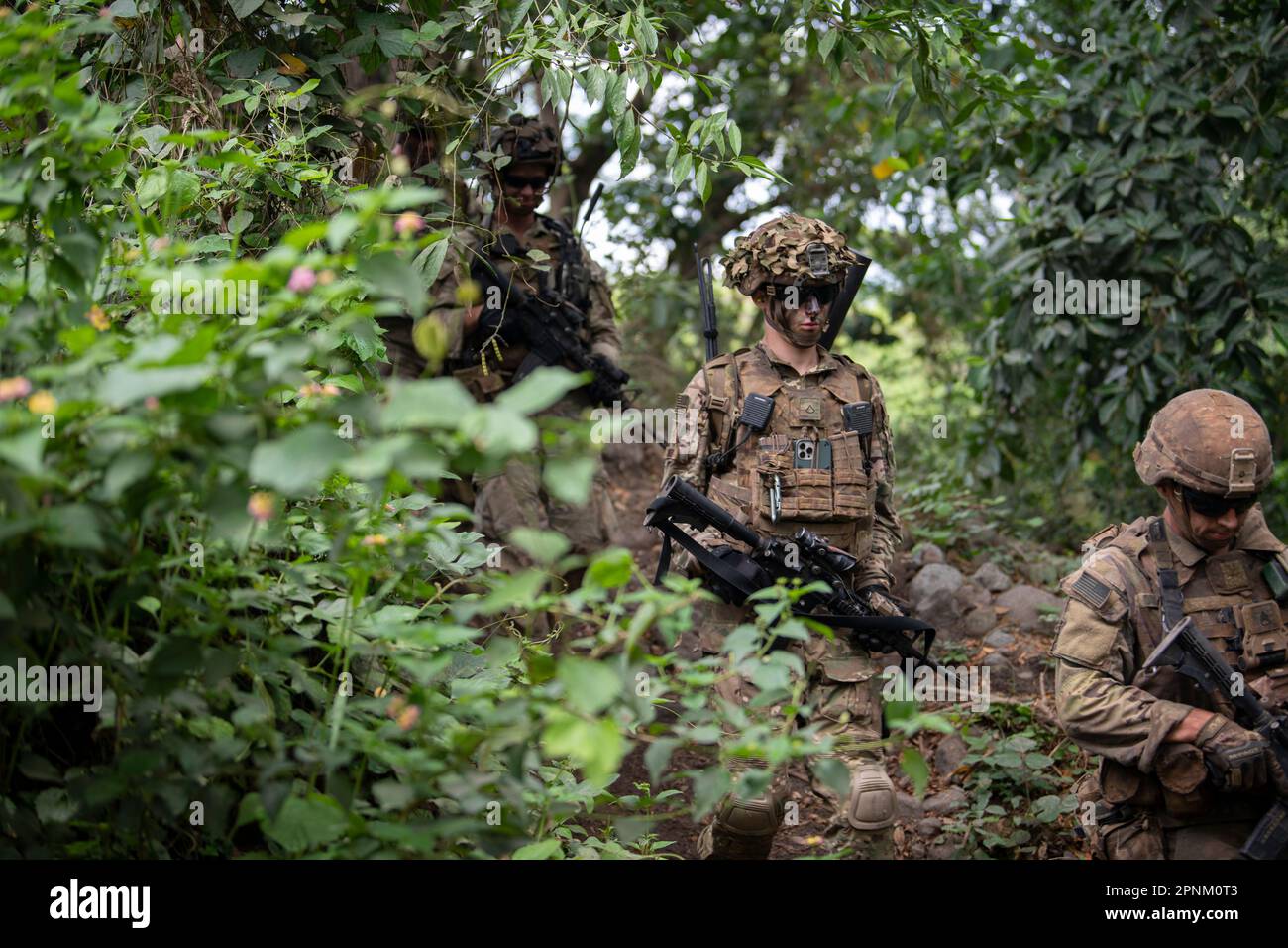 U.S. Army Soldiers, with 25th Infantry Division, conduct a jungle ...