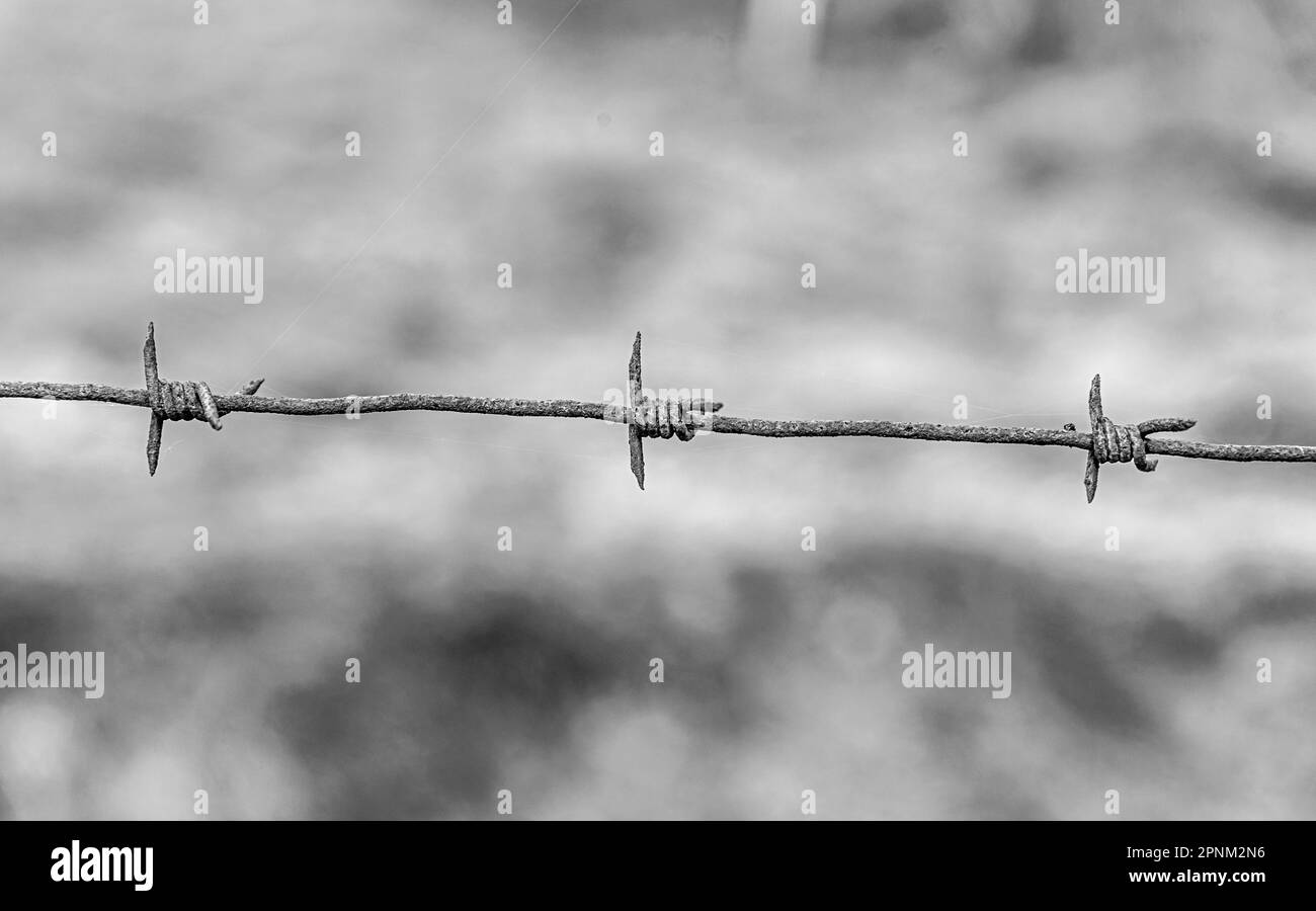 Iron rust wire protection barrier Black and White Stock Photos & Images ...