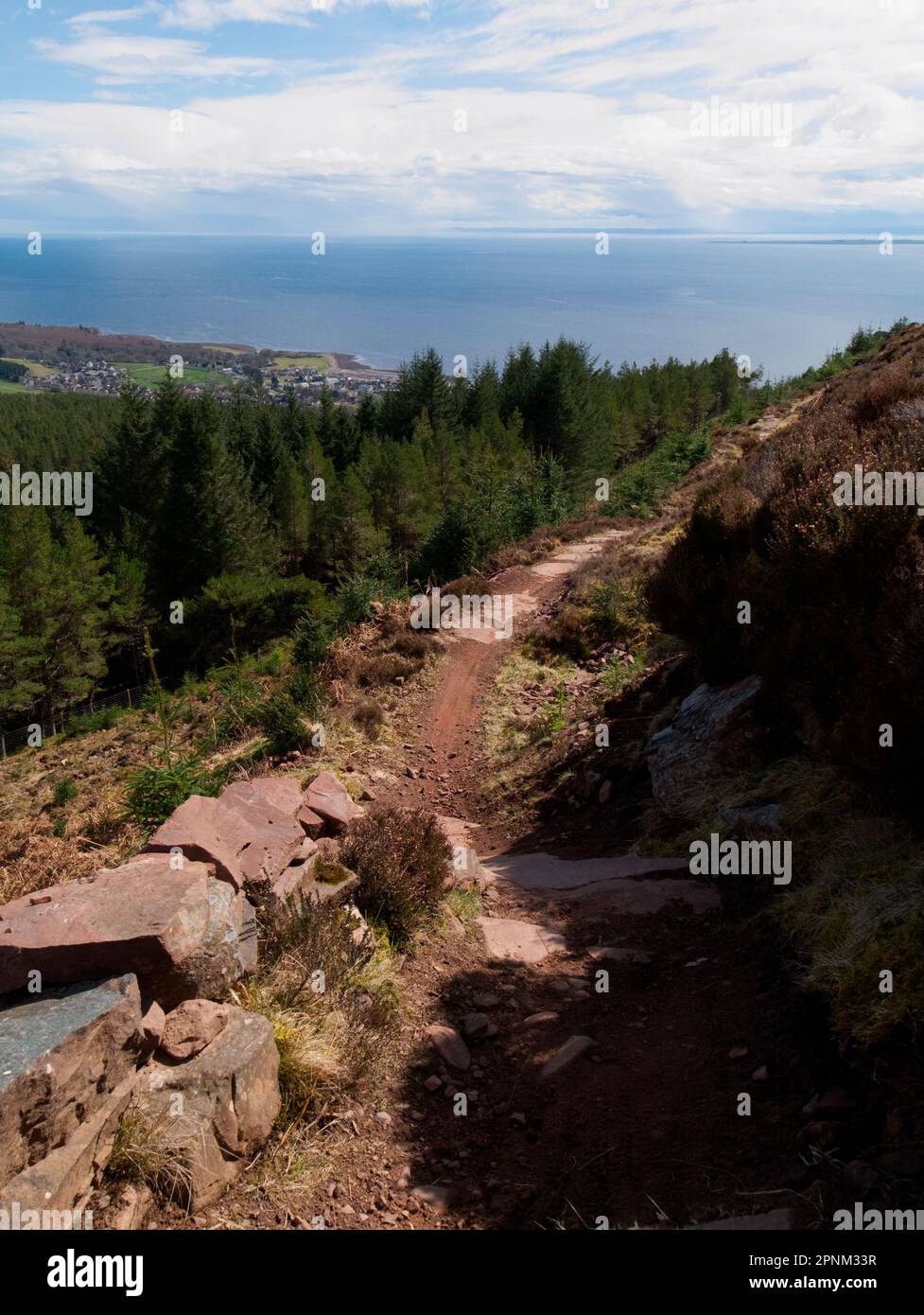 Singletrack mountain bike trail, Golspie, Sutherland Stock Photo - Alamy