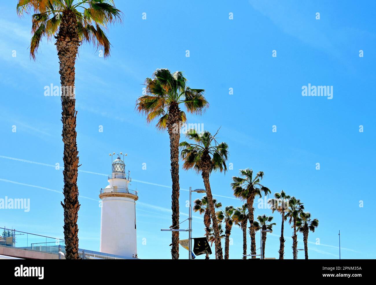 Spain Malaga modern harbour lighthouse bordered by palm trees in the ...