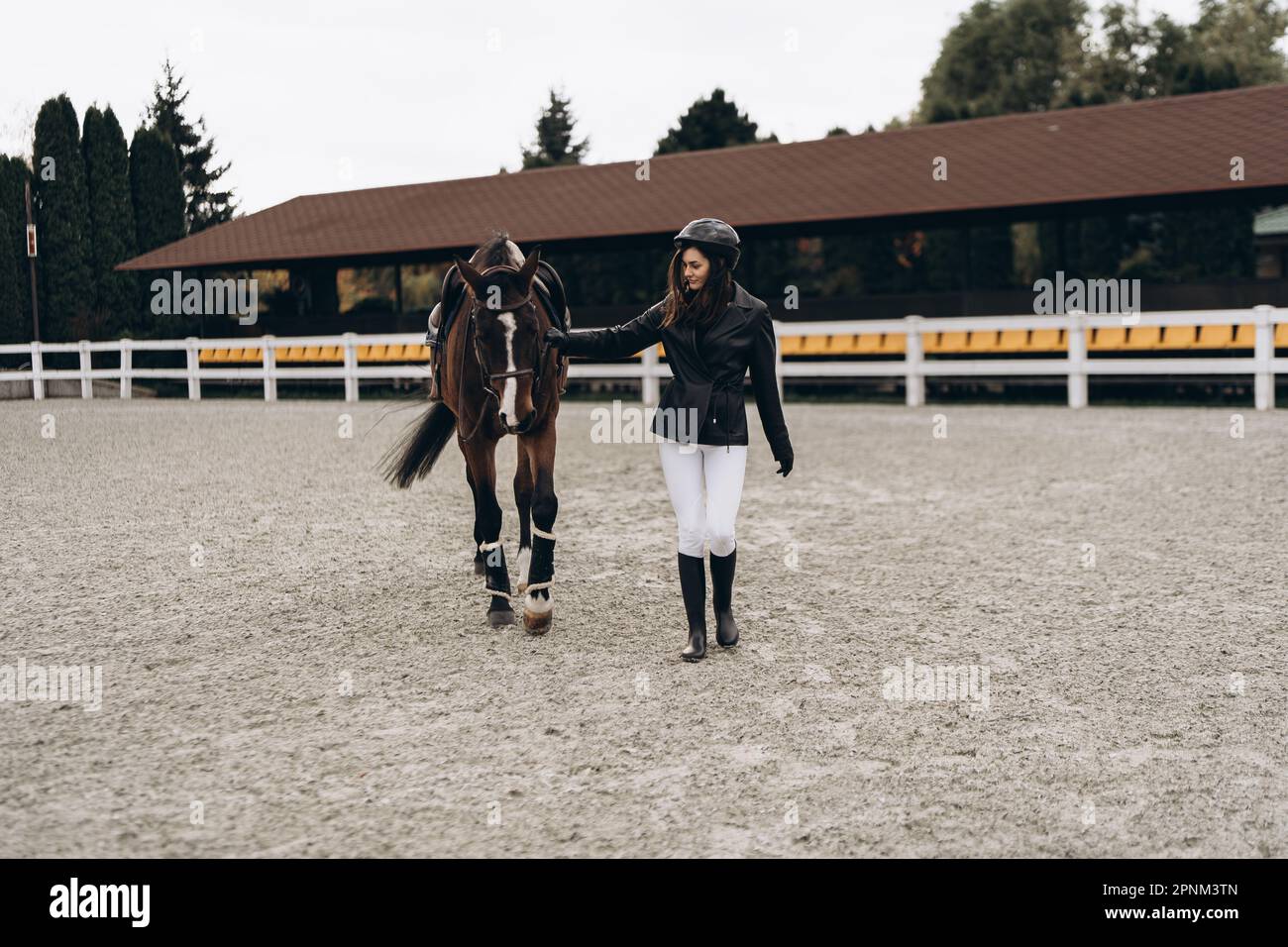 A young equestrian in uniform poses with a beautiful, majestic horse ...