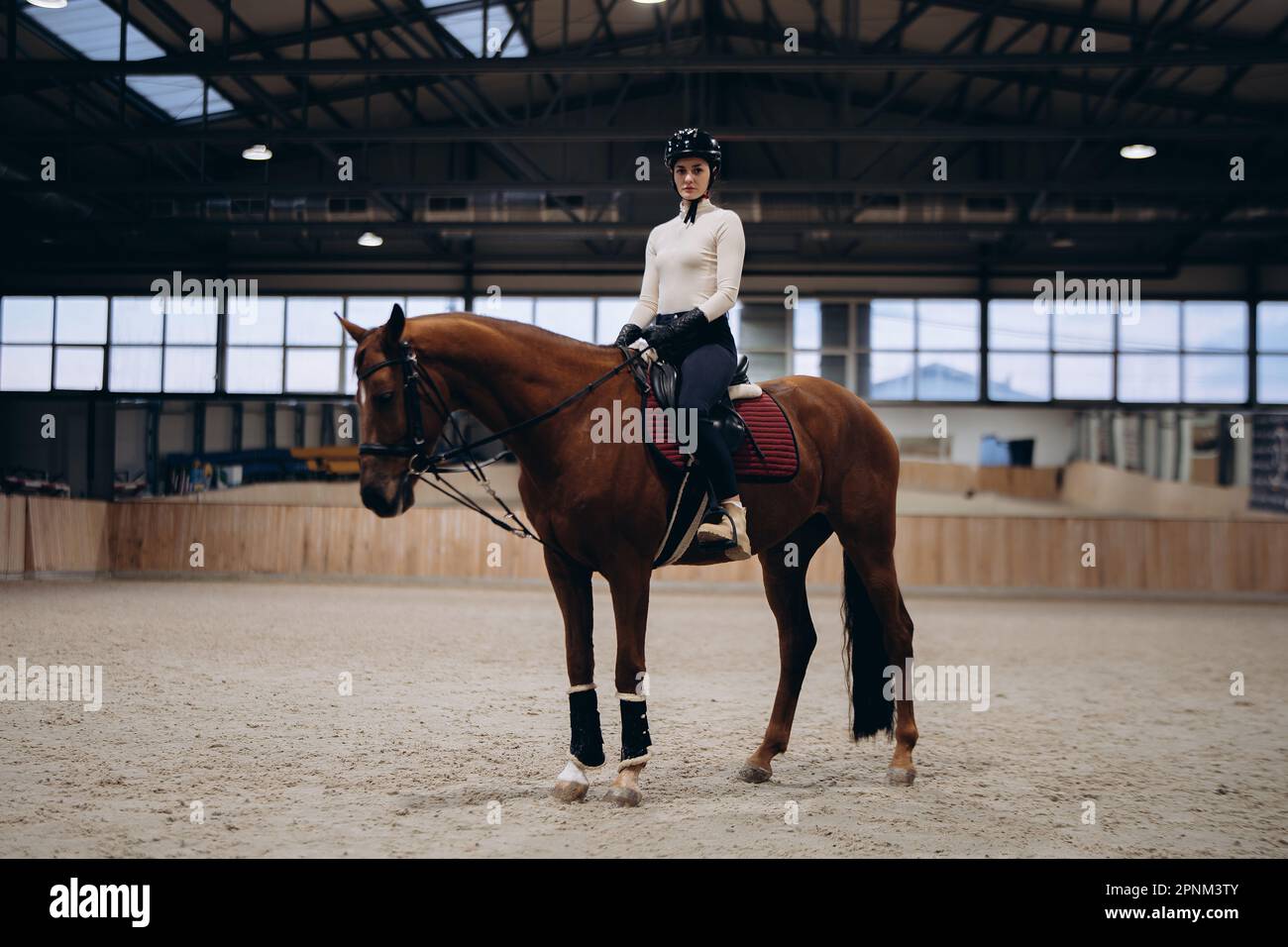 A young equestrian in uniform poses with a beautiful, majestic horse ...