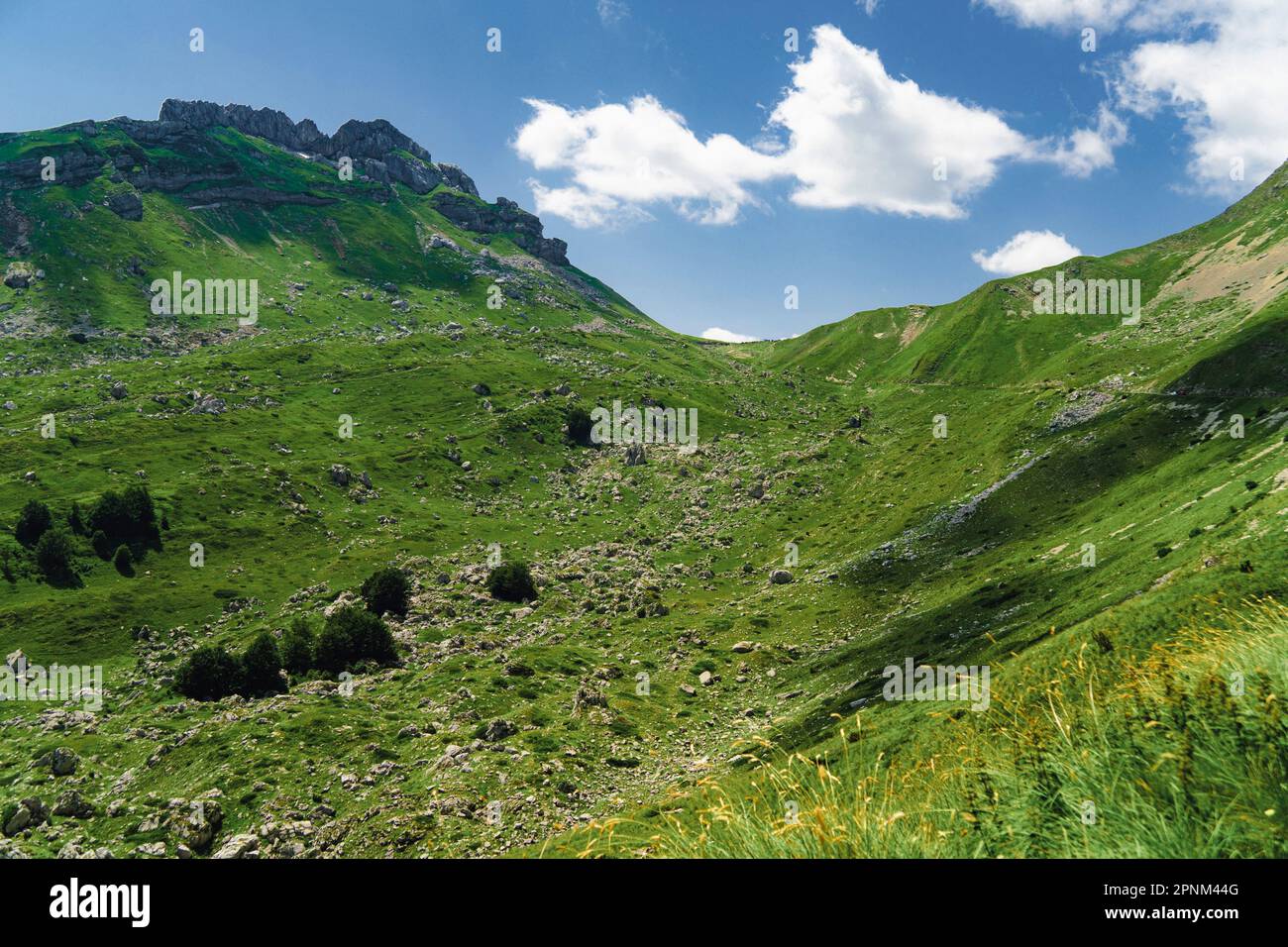 Montenegro. Durmitor National Park. Saddle Pass. Alpine meadows ...