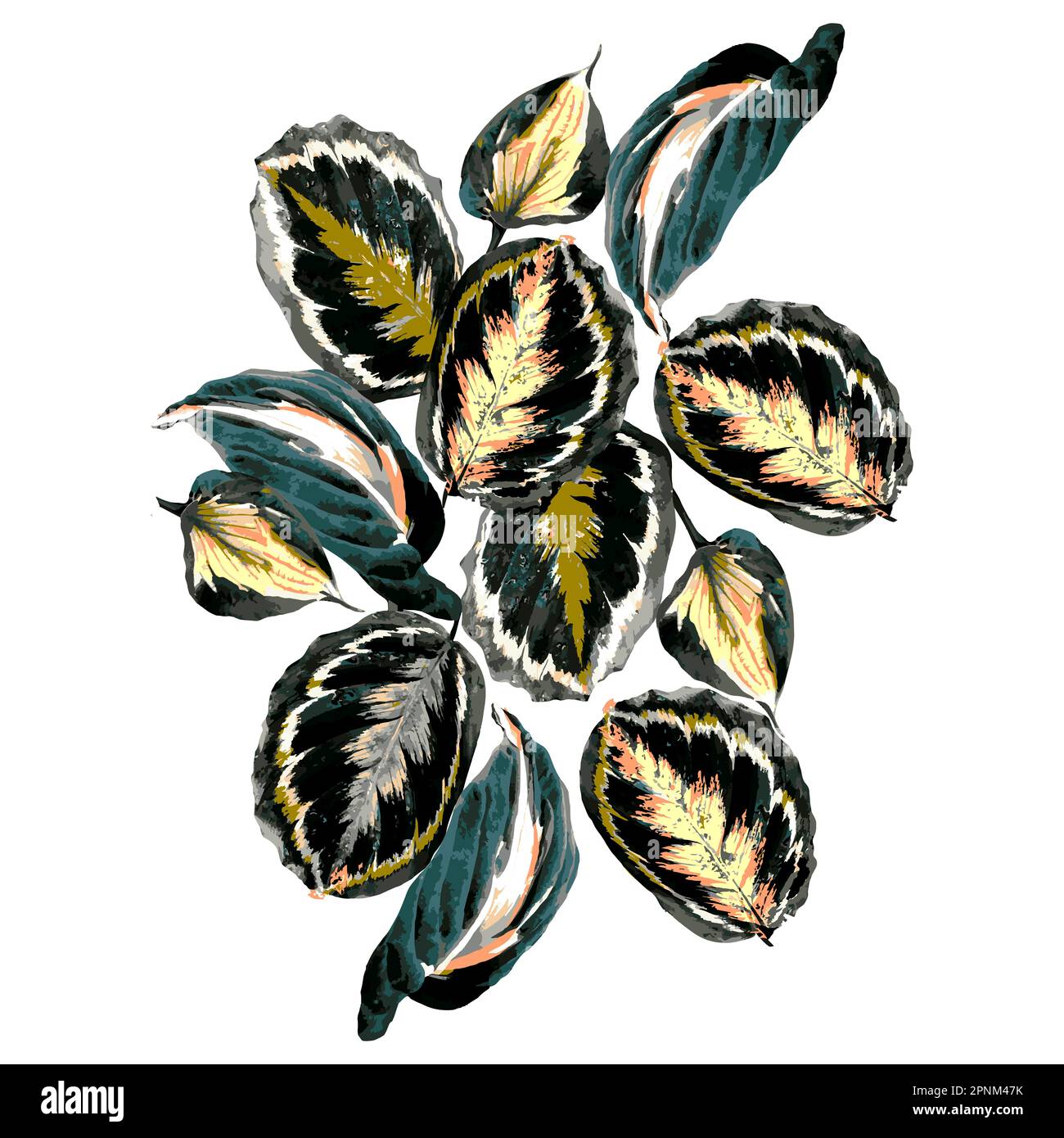 Seamless flowers pattern, hand draw floral design, textile print Stock ...