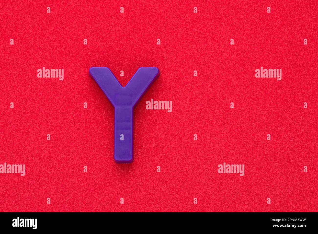 Plastic letter Y uppercase in violet color on a red 032 c foamy ...
