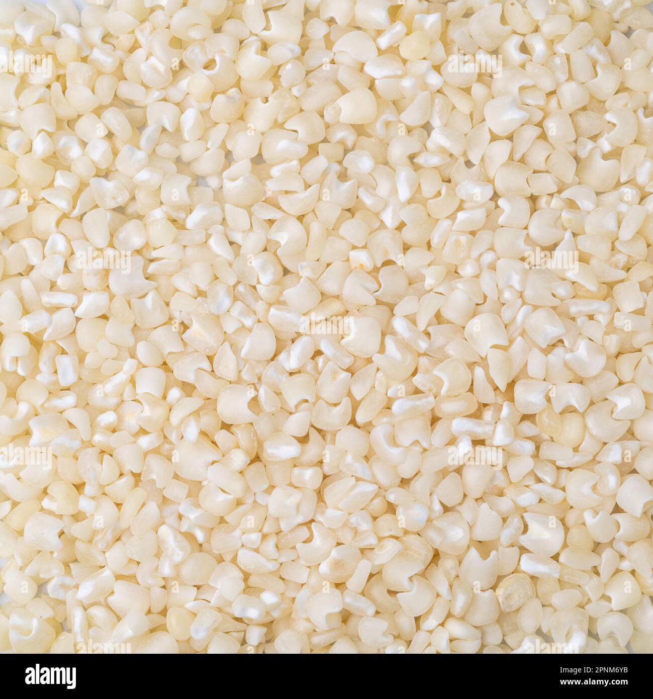 Closeup, top view of dried white corn or canjica. Food backdrop Stock ...