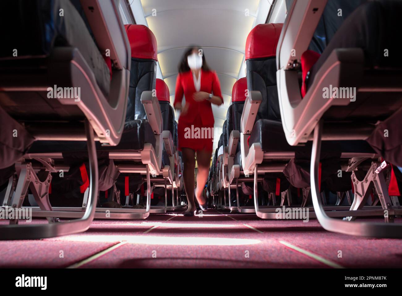 Cabin crew member blurred on purpose on board of a narrow-body ...