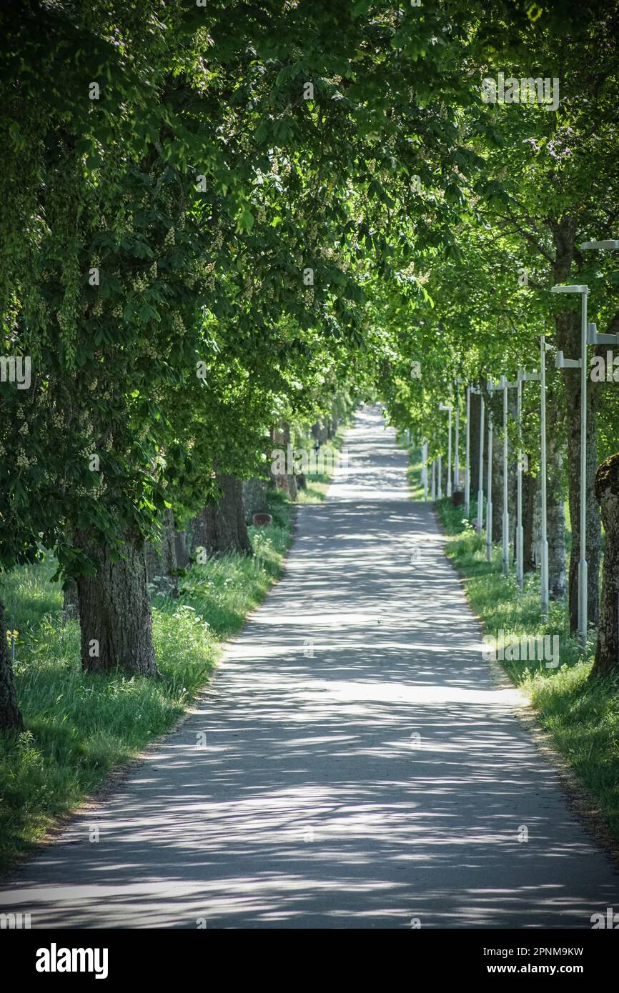 Empty narrow footpath surrounded hi-res stock photography and images ...