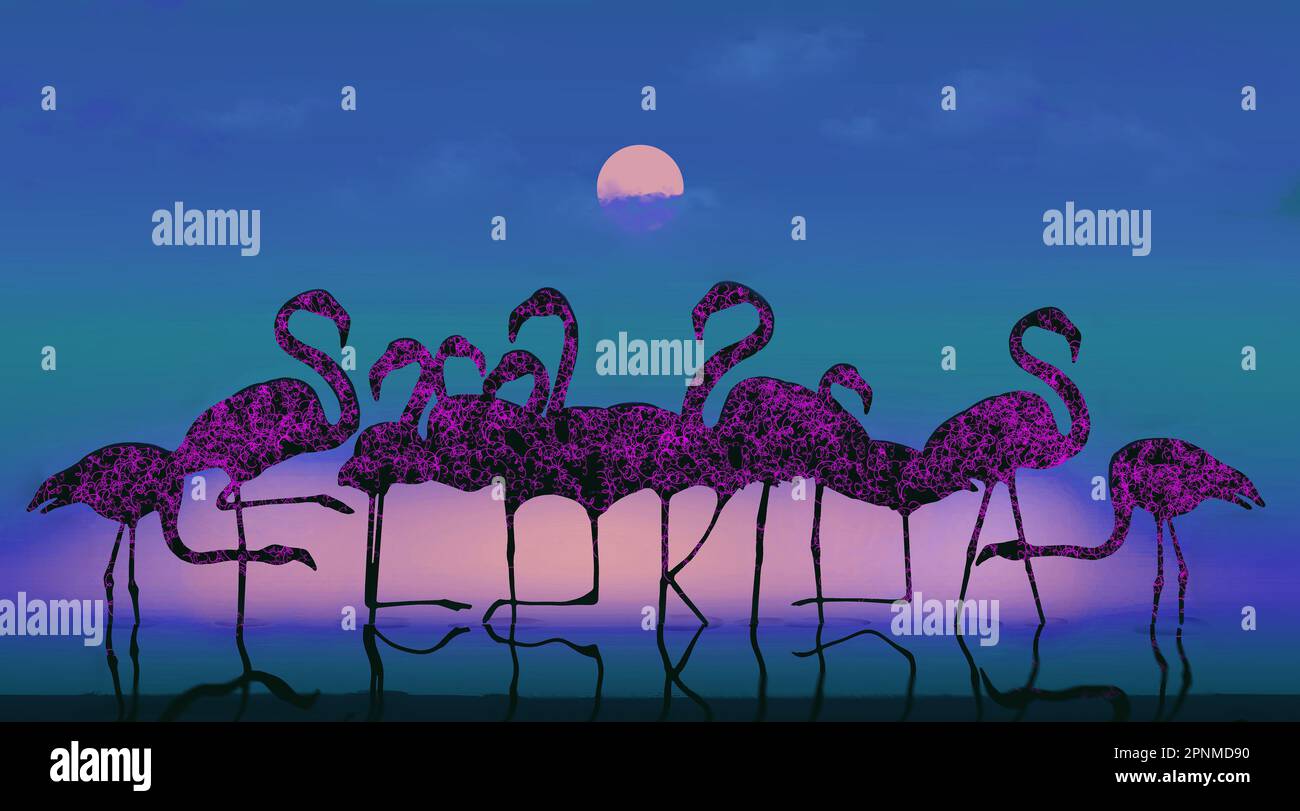 Letters spell florida hi-res stock photography and images - Alamy