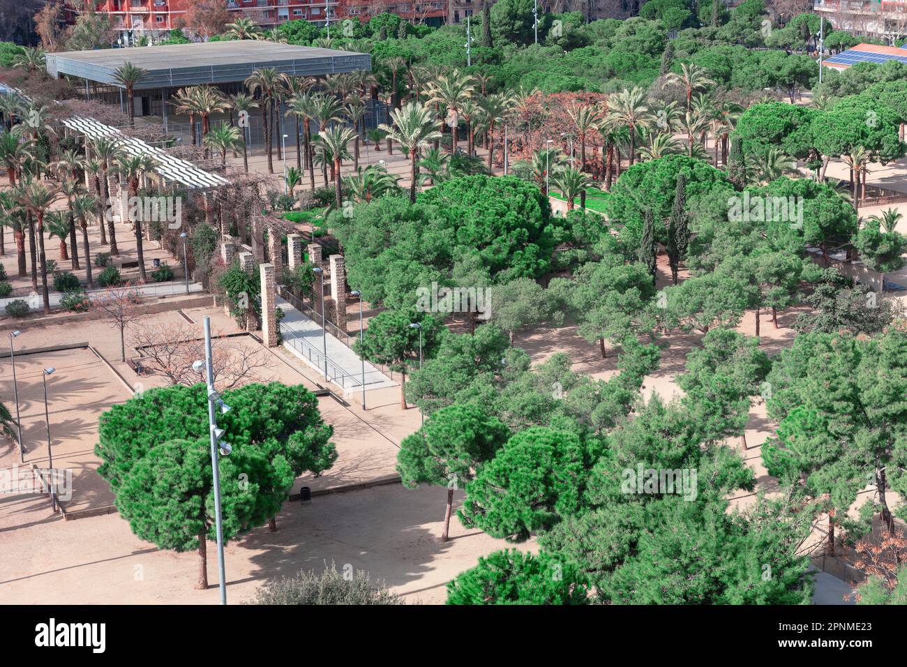 Park with tropical trees in Barcelona Stock Photo - Alamy