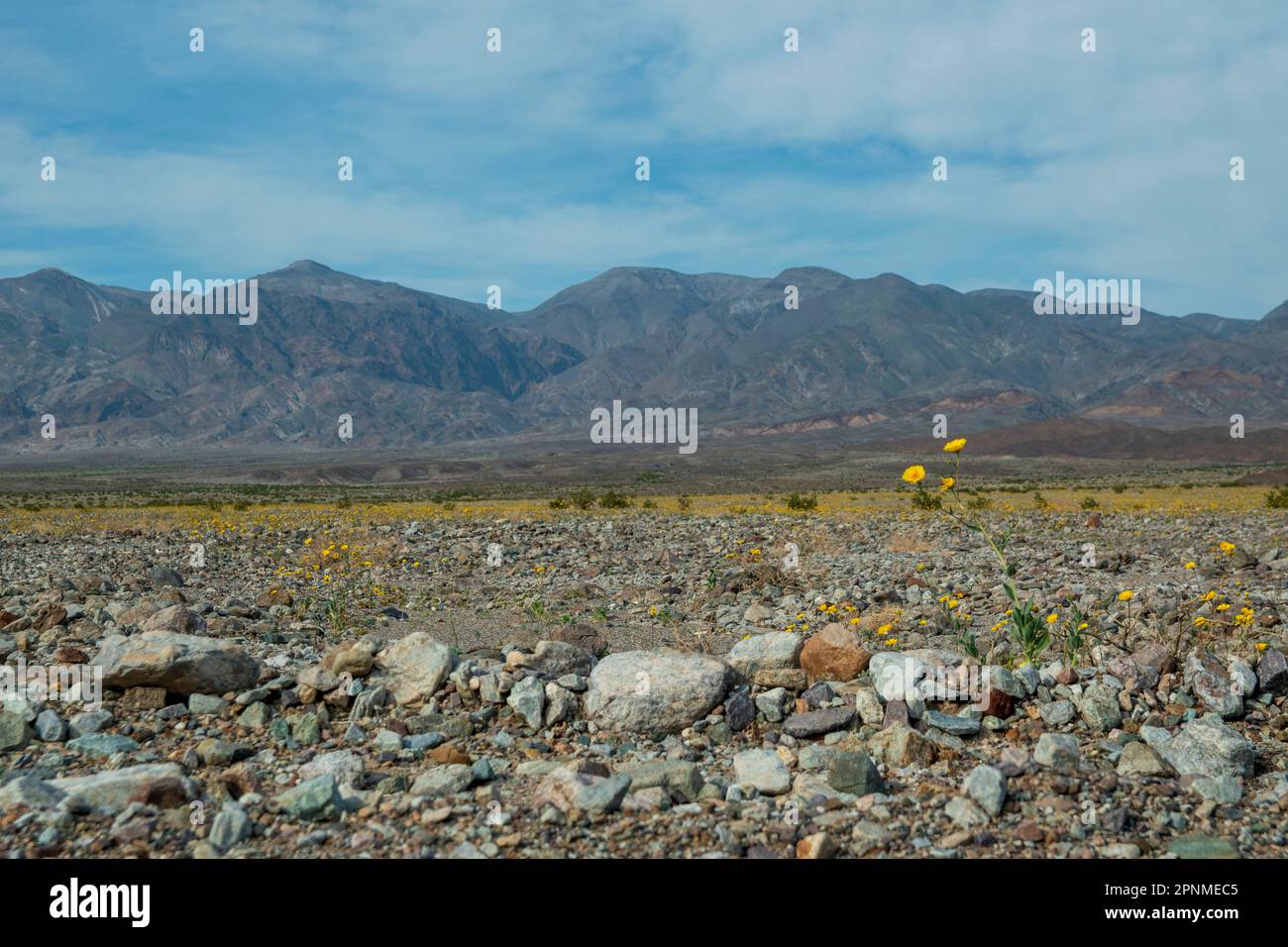 Even Death Valley National Park, the hottest place on Earth, gets ...