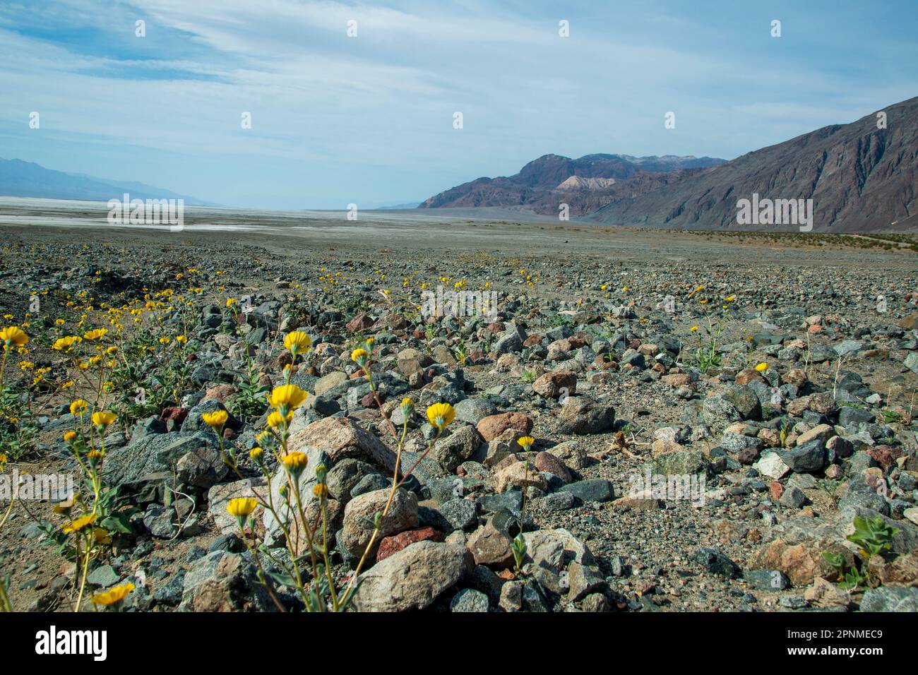 Even Death Valley National Park, the hottest place on Earth, gets ...