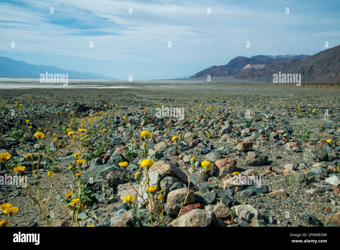 Even Death Valley National Park, the hottest place on Earth, gets ...