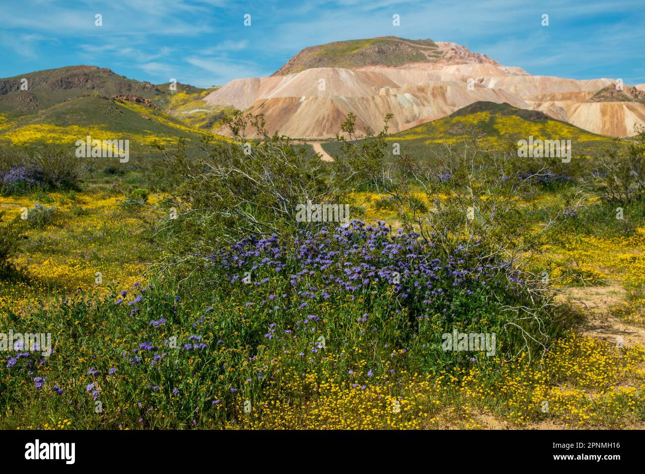 The hills between the towns of Mojave and Rosamond in Kern County, CA ...