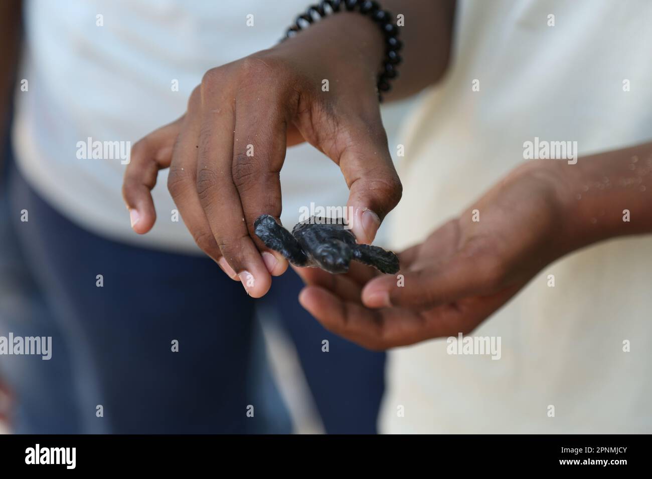 The turtle girl hi-res stock photography and images - Alamy