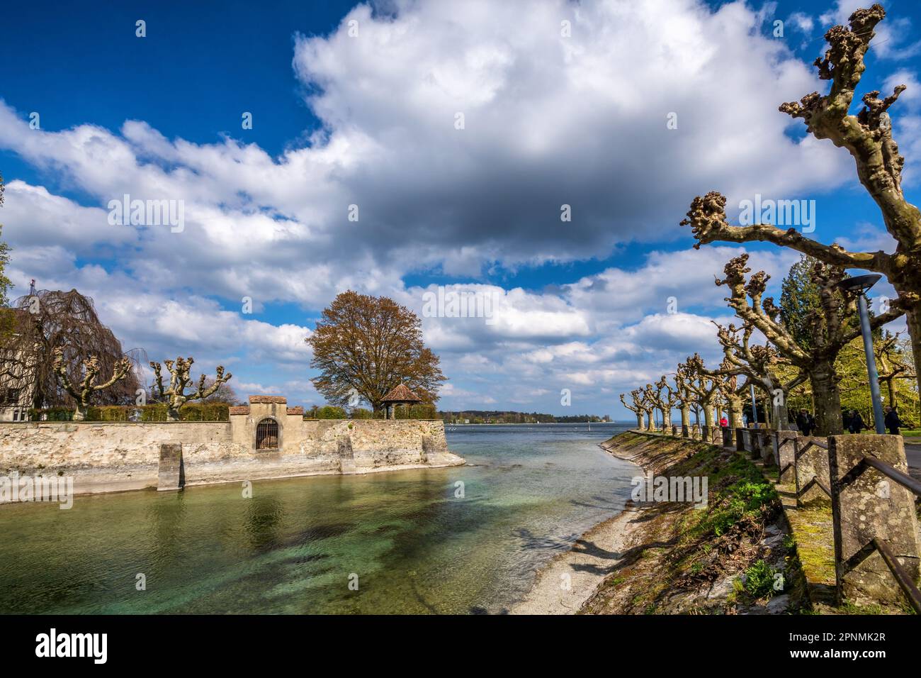Spring on Lake Constance lakeside blue sky and sunshine Stock Photo - Alamy