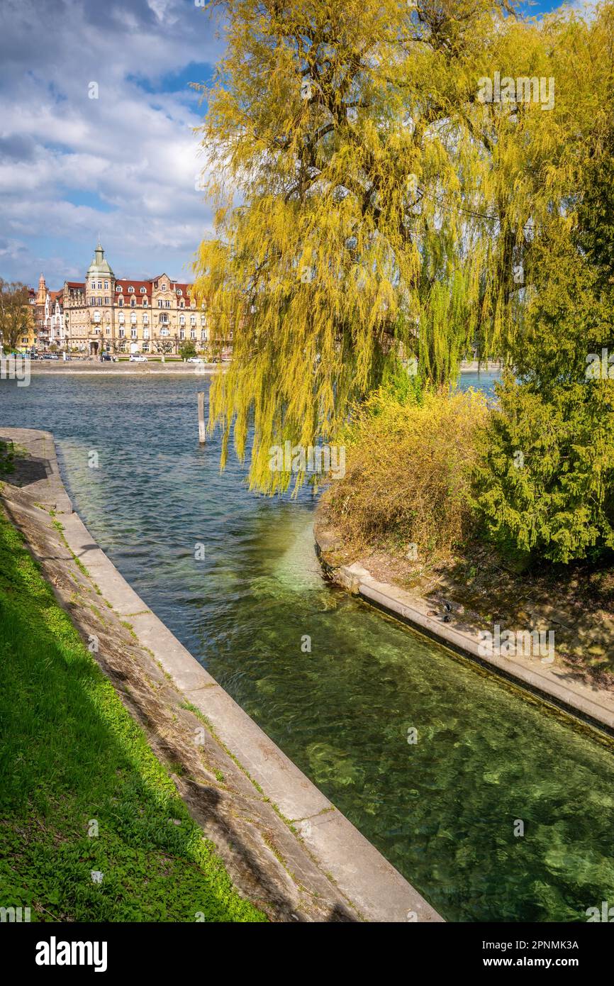 Spring on Lake Constance lakeside blue sky and sunshine Stock Photo - Alamy