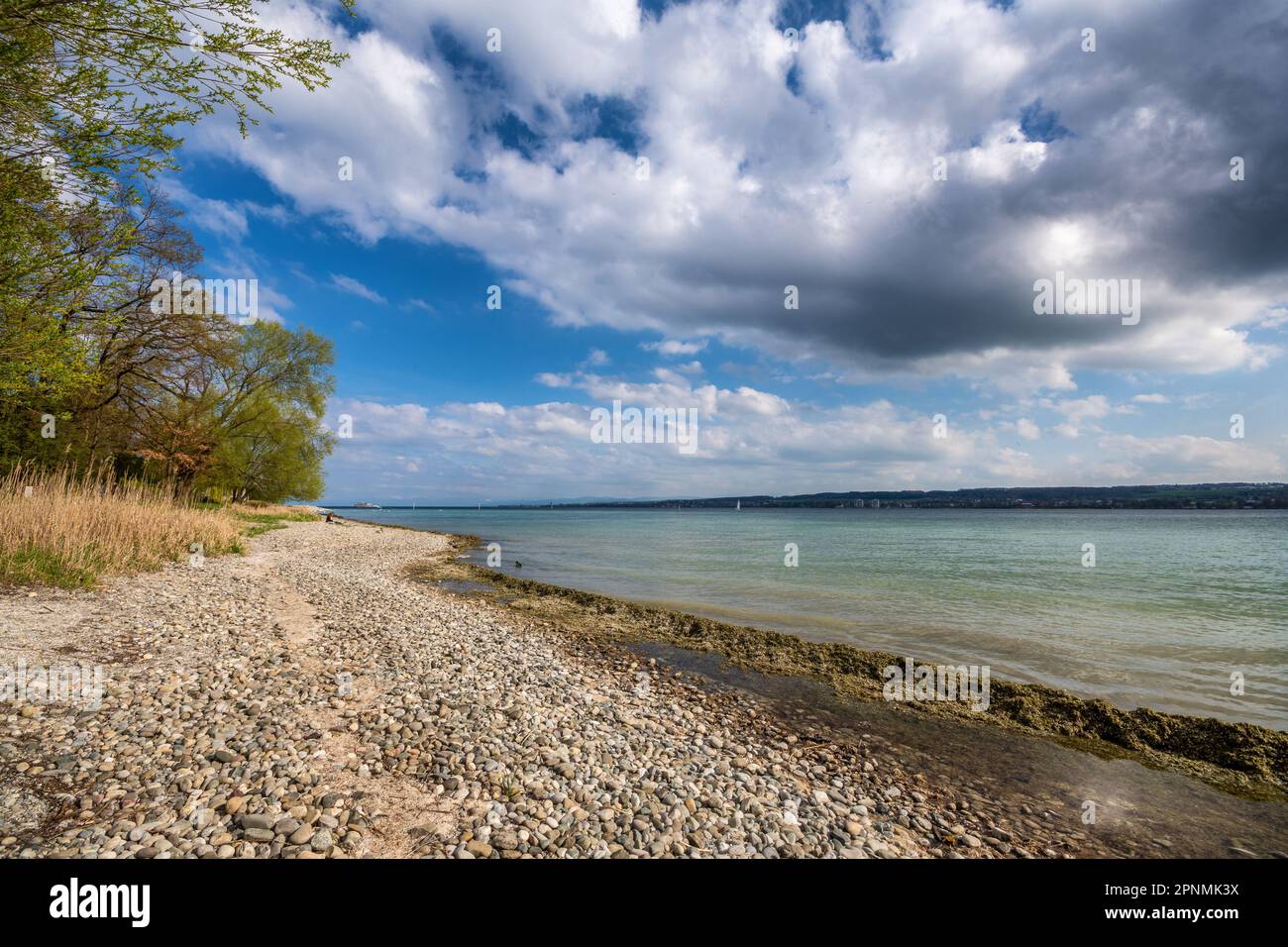 Spring on Lake Constance lakeside blue sky and sunshine Stock Photo - Alamy