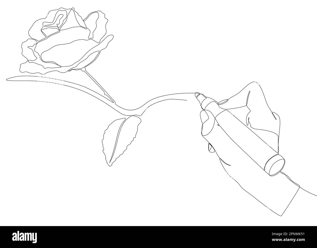 One Continuous Line Of Rose Drawn By With Felt Tip Pen Thin Line Illustration Vector Concept