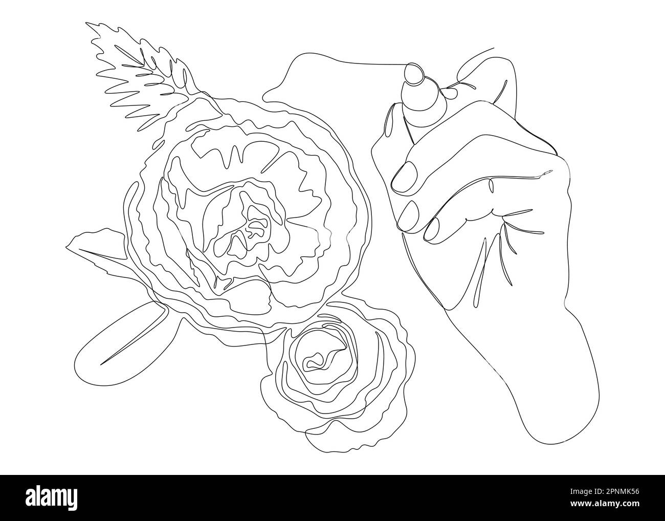 One continuous line of Rose drawn by with felt tip pen. Thin Line ...