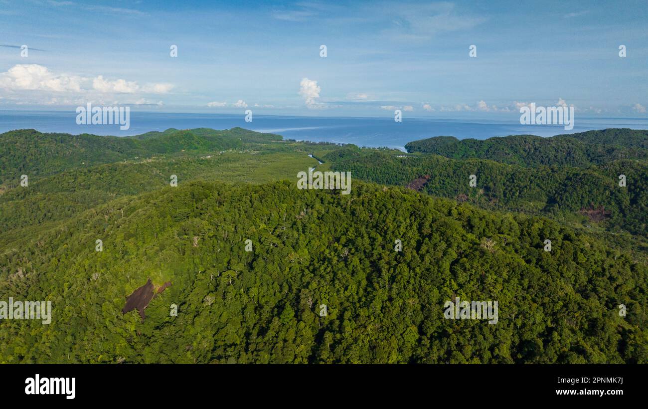 Coast of Borneo island and tropical vegetation and jungle. Sabah ...