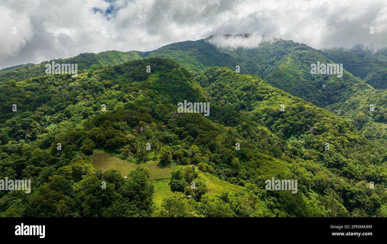 Mountain slopes covered with rainforest and jungle. Philippines, Negros ...