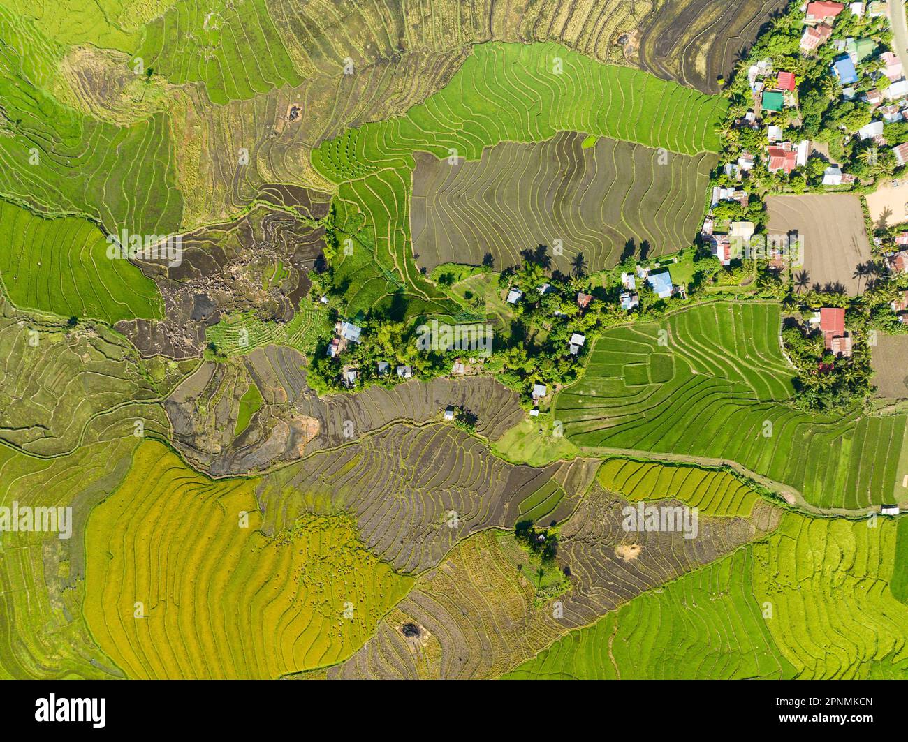 Top view of farmland with rice terraces in the countryside. Negros ...