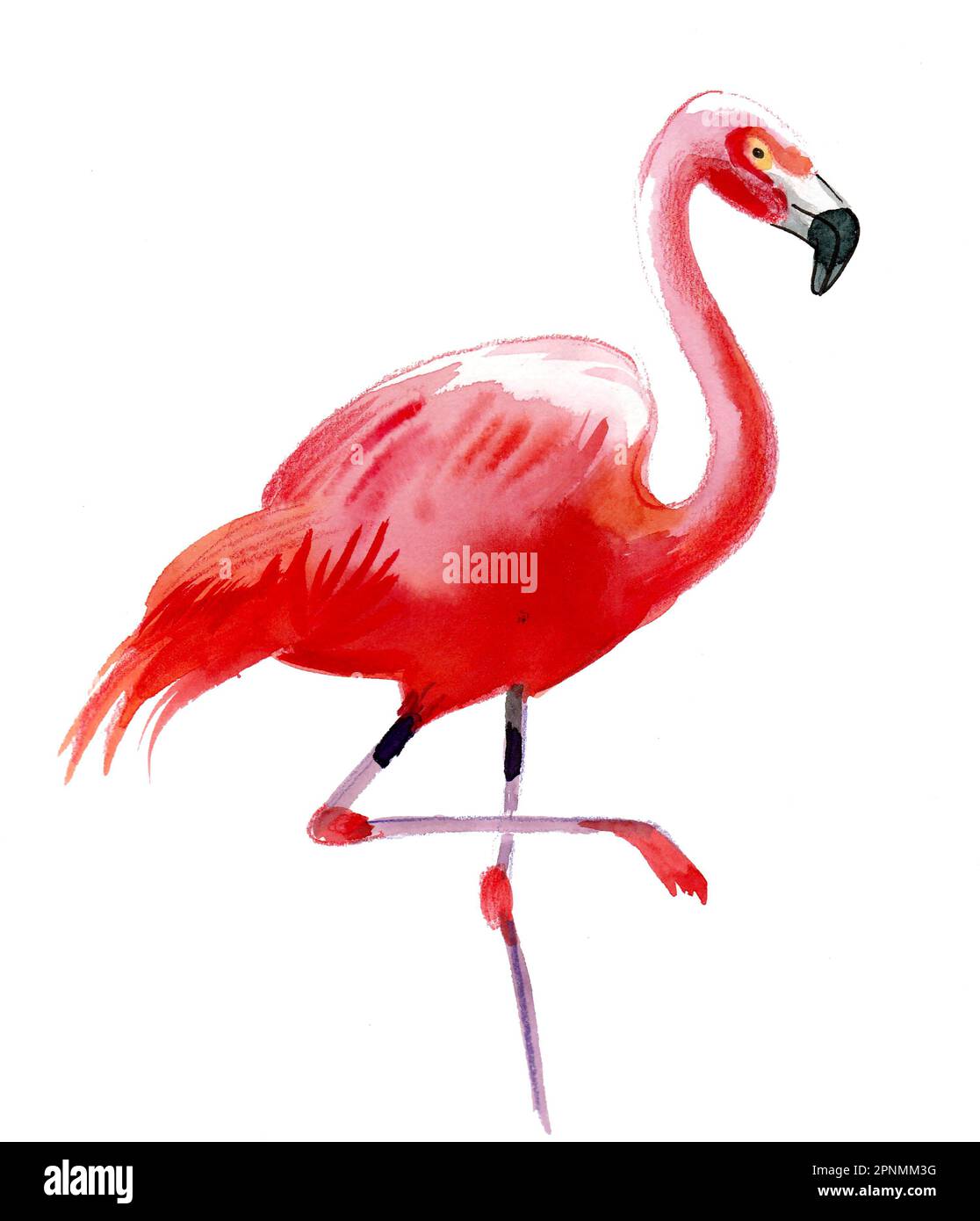 Flamingo Bird Drawing Easy Flamingo Drawing Tutorial For Beginners