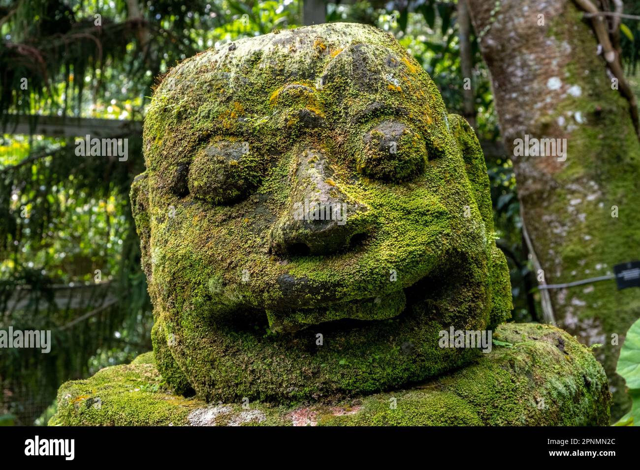 Moss covered statue in a garden in Singapore Stock Photo - Alamy