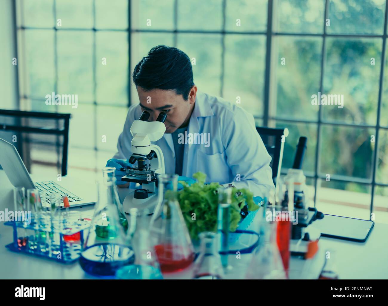 Laboratory technician prepares compound solutions and media for ...