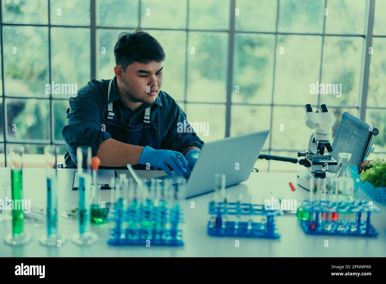 Laboratory technician prepares compound solutions and media for ...