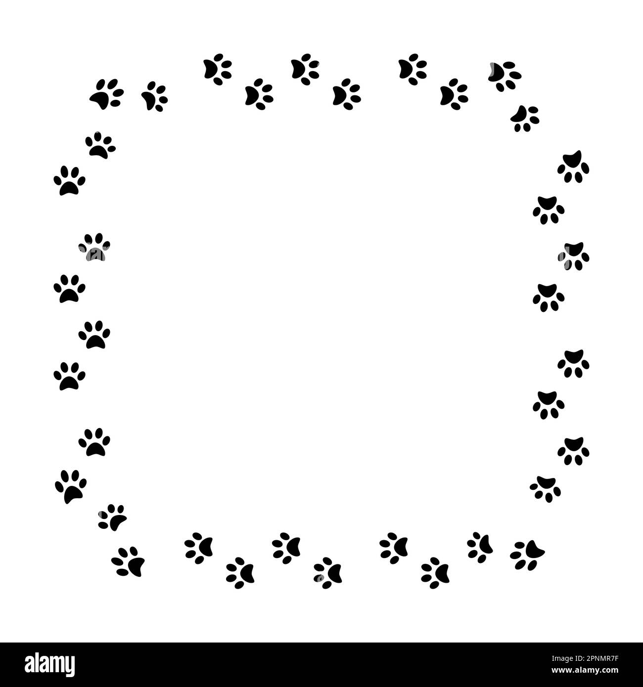 Pads of cat paws square frame. Animal paw prints on ground. Pets and ...