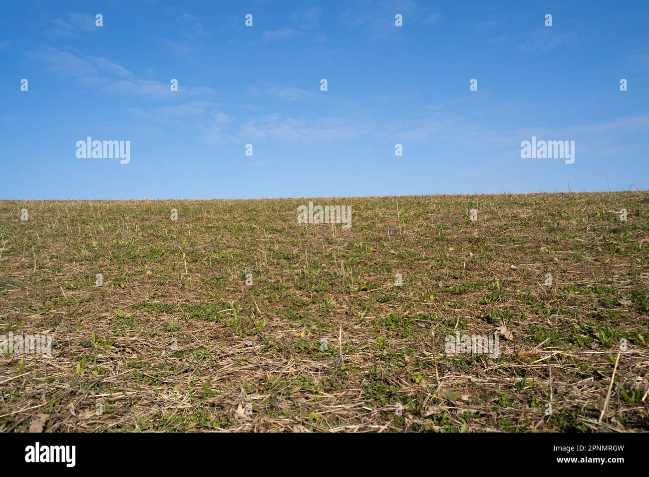 Grassy hill in the landscape with blue sunny sky in spring Stock Photo ...