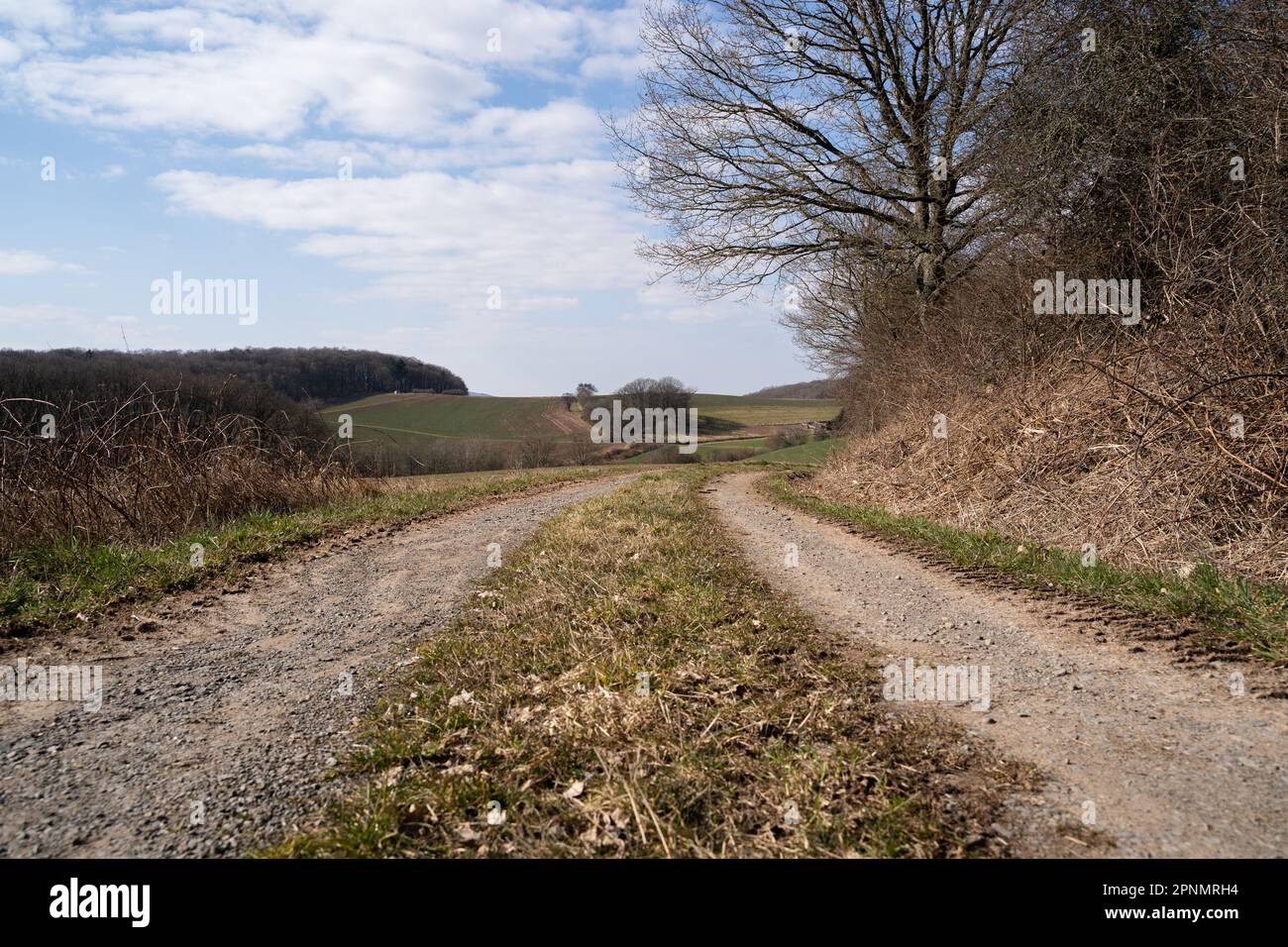 Lane in arable countryside hi-res stock photography and images - Alamy