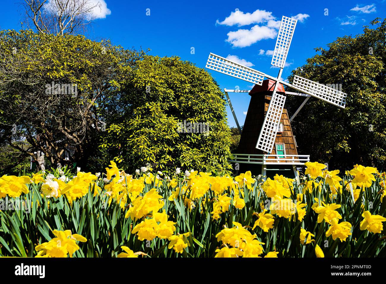 Flower garden windmill hi-res stock photography and images - Alamy