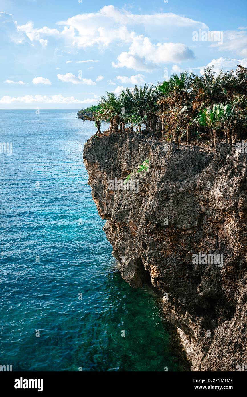 A rocky cliff with palm trees on the cliff top of siquijor island in ...