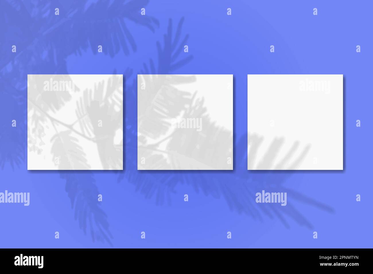 Tui blue Stock Vector Images - Alamy